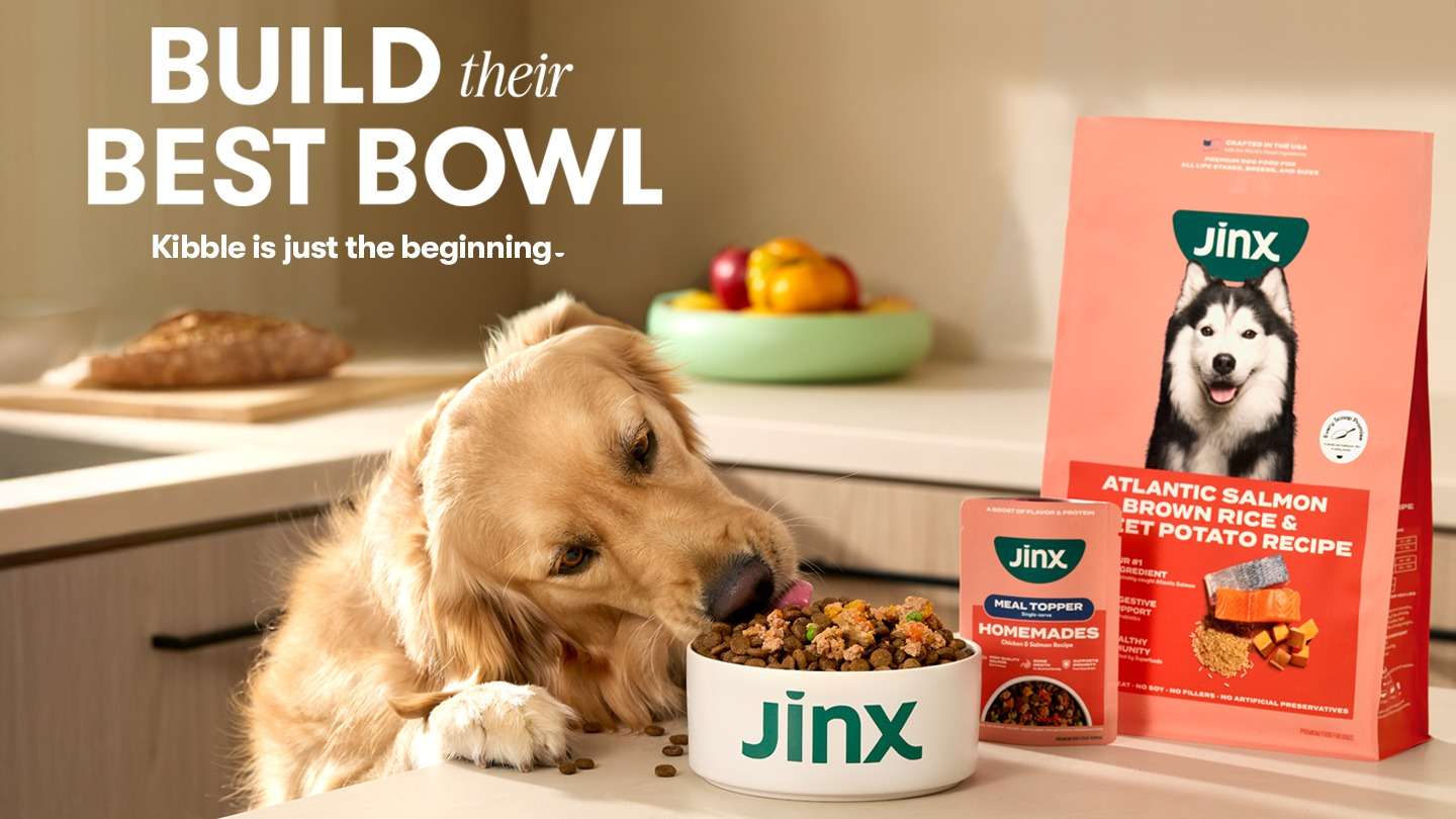 Publix Iams Delivery or Pickup Near Me | Instacart